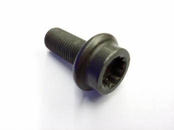 Genuine VW / Audi Bolt - N91050202 - Modded Euros