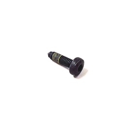 Genuine VW / Audi Torx Bolt - N10196303 - Modded Euros