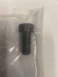 Genuine BMW Flywheel Bolt - 11227520706 - Modded Euros