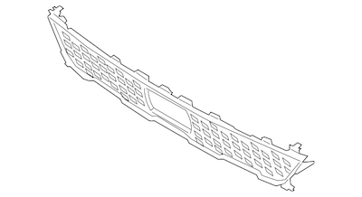 Genuine BMW Grille - 51118069888 - Modded Euros