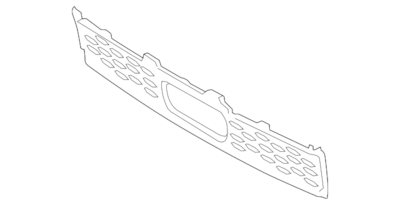 Genuine BMW Grille - 51118069943 - Modded Euros