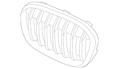 Genuine BMW Grille - 51137354824 - Modded Euros